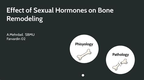 Effect Of Sexual Hormones On Bone Remodeling By Amirabbas Mehrdad On Prezi
