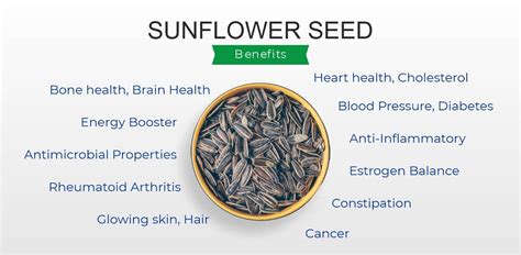 Apricot Benefits Side Effect And Uses By Apnapoint Medium