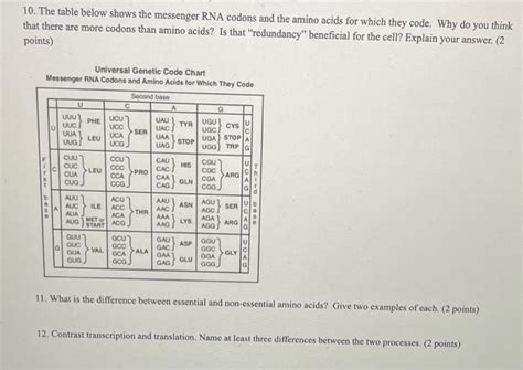 Solved 10 The Table Below Shows The Messenger Rna Codons