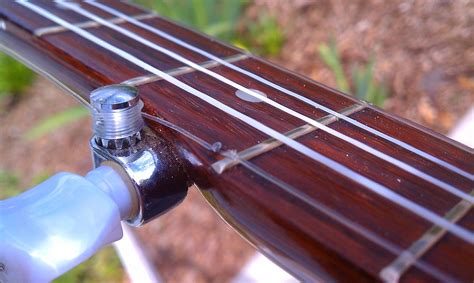 Advice About Nylgut Strings R Banjo