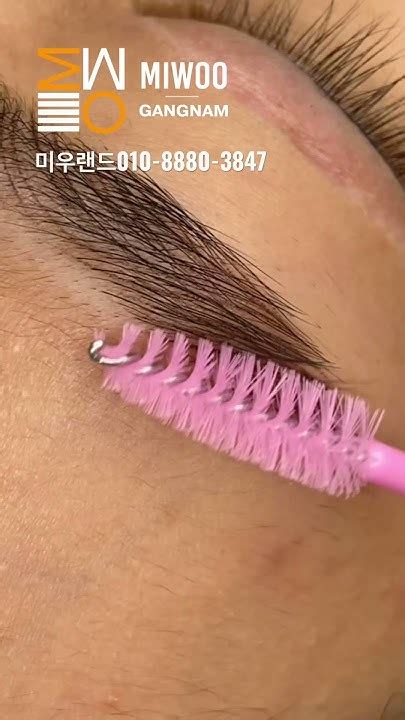 미우랜드 머신페더링 기법 미우아카데미 반영구수강 반영구교육 반영구아카데미 눈썹문신 Shorts Youtube