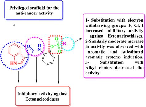 Illustration Of Sar For Newly Synthesized Indole Acetic Acid Sulfonate