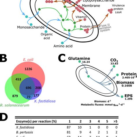 Comparison Of Metabolic Networks Download Scientific Diagram