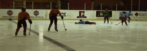 Bildeserie — Miljø Jeg Valgte å Ta Bilder Av Ishockeylaget… By Thea