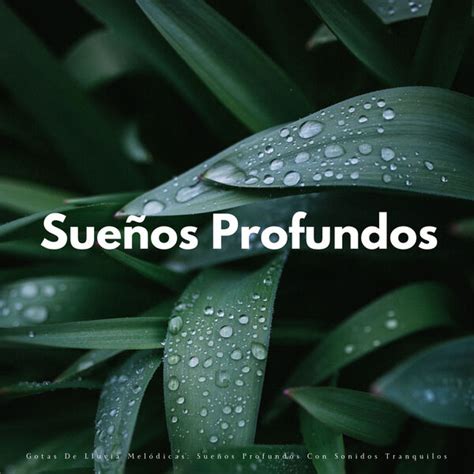 Gotas De Lluvia Melódicas Sueños Profundos Con Sonidos Tranquilos