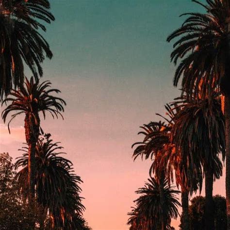 Bauso Ricardo Baúso Youtube