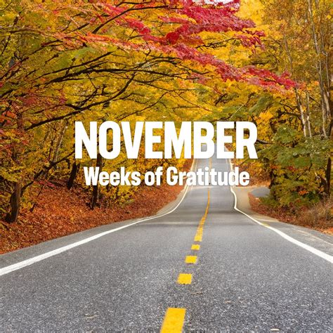 Gratitude Teamcollaboration Netappit Collaboration Teamwork… C Matt Brown