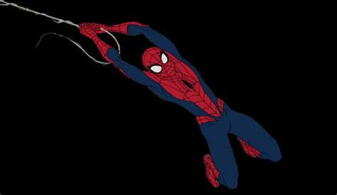 Spiderman Web Textuur Download Black Spideron Web