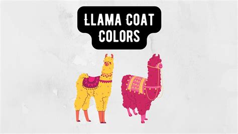 Evolutionary Link Exploring How Llamas And Camels Are Related LLama Web