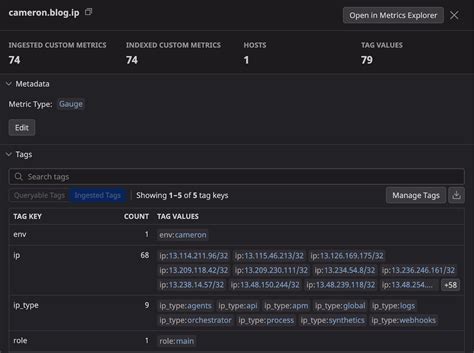 Crafting And Visualizing Custom Metrics Rapdev