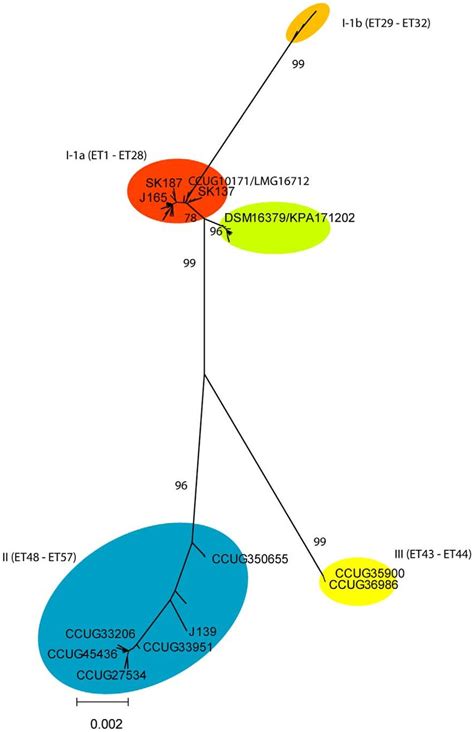 Assignment Of Genome Sequenced Strains And Relevant Collection Strains