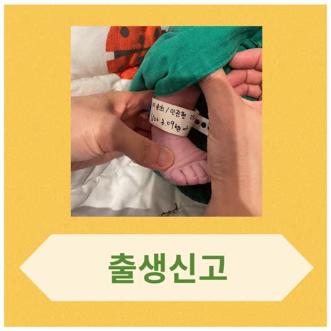 아기 출생신고 준비물 온라인 동사무소 기간 방법 네이버 블로그