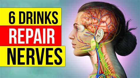 Top 6 Drinks To Repair Nerves And Prevent Nerve Damage Di 2024