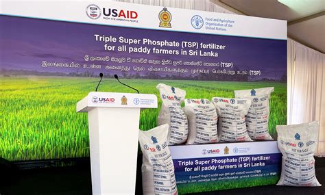 Triple Super Phosphate Tsp Fertilizer For All Paddy Farmers In Sri Lanka Bling Productions