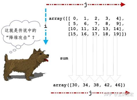 Numpy中的爱因斯坦求和约定（非常好用的技巧） 知乎