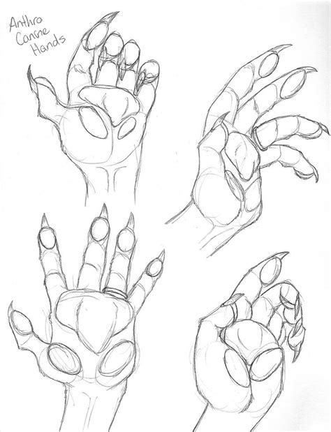 Anthro Canine Hands By Dragonessdeanna On Deviantart