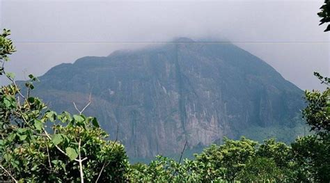 SC Modifies Order On Eco Sensitive Zone Around National Parks