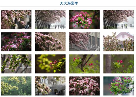 2024天津大学考研信息汇总（超详细~码住） 知乎