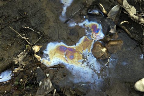 Shell Wins Legal Case Over Nigeria Oil Spill The Citizen