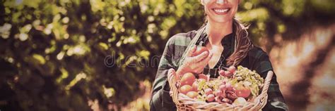 655 Happy Farmer Carrying Basket Stock Photos Free Royalty Free