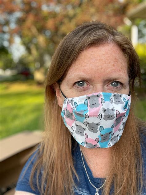 Non Binary Or Trans Face Mask Llama Mask LGBTQ Trans Etsy