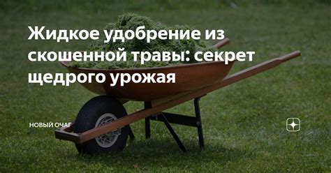 Жидкое удобрение из скошенной травы секрет щедрого урожая Новый очаг