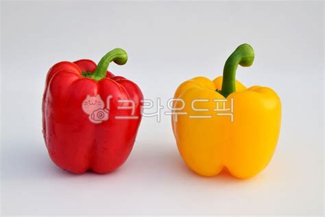 파프리카 노란파프리카 빨간파프리카 음식 오브젝트 사진이미지일러스트캘리그라피 해피스챤작가