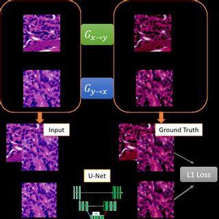 Overview Of Our Method The Gxy And Gyx Denote The Generators Of A