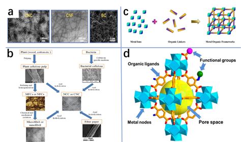 北林马明国教授团队Carbohyd Polym 两种明星材料的碰撞 纳米纤维素 MOFs复合材料的应用 中国聚合物网科教新闻