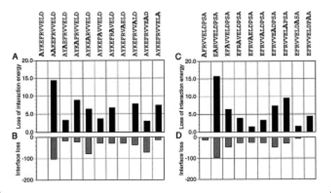 An In Silico Alanine Scanning Of The S1 A B And S2 C D Peptide In