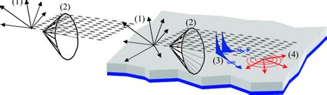 Rays Excited By Floquet Waves Due To A Finite Array Of Elementary
