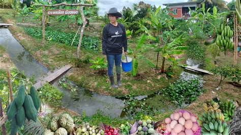 สวนสุดสวยพื้นที่1ไร่ ทำแบบลงทุนน้อย ทำแบบง่ายๆแต่อยู่ได้จริงมีรายได้จริง Youtube