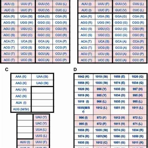 A Display Of 64 Slot Codon Table A The Codons Are Organized In Four