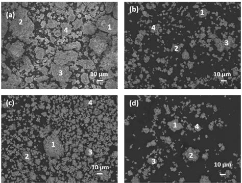 Sem Micrographs Of The Non Isothermally Oxidized A C Cu 2 Se40