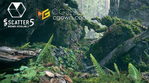 Moss Biome Ground Scatter 3d Assetkit Pbr苔藓生物群系模型 Cg资源网