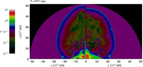 Final Distribution Of The Rest Mass Density For The Models With
