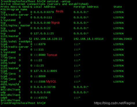 linux 软件安装与项目部署 linux常用软件部署 csdn博客