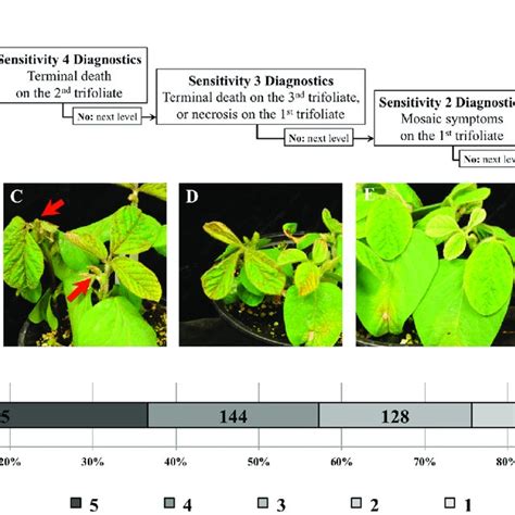 Bayesian Information Criterion Bic Based Model Selection The Model Download Table
