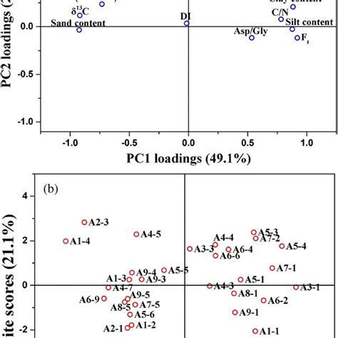 plot of δ 13 c values versus c n ratios a identification of