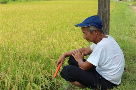 觀點投書：當《國土計劃》遇上農舍 風傳媒