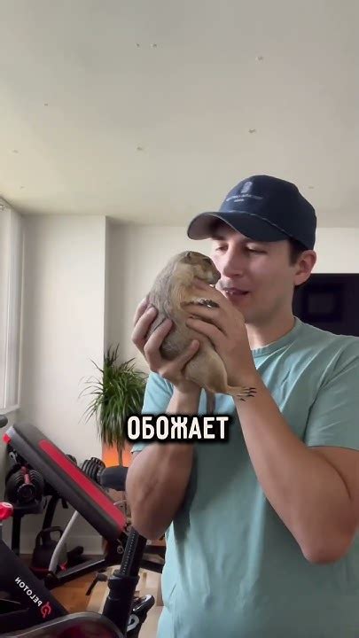 Забавный суслик 😆 рекомендации животные домашниеживотные интересно Youtubeshorts Youtube