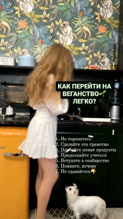 🌱 веганство веган веганка сыроедение Youtube