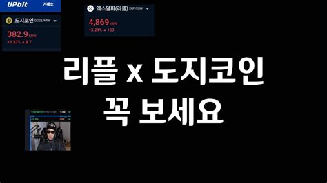 리플 도지코인 투자는 이렇게 하시면 됩니다 비트코인 차트분석 Youtube