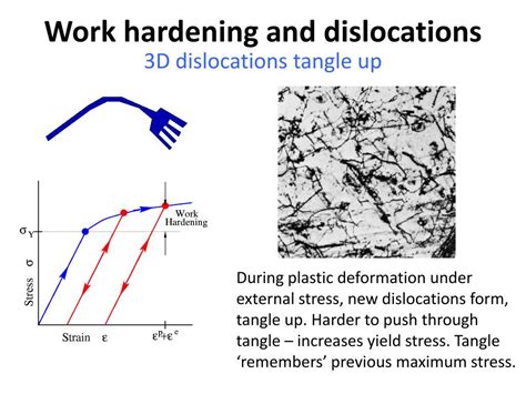 Ppt Dislocation Structures Grain Boundaries And Cell Walls Powerpoint Presentation Id 2101252