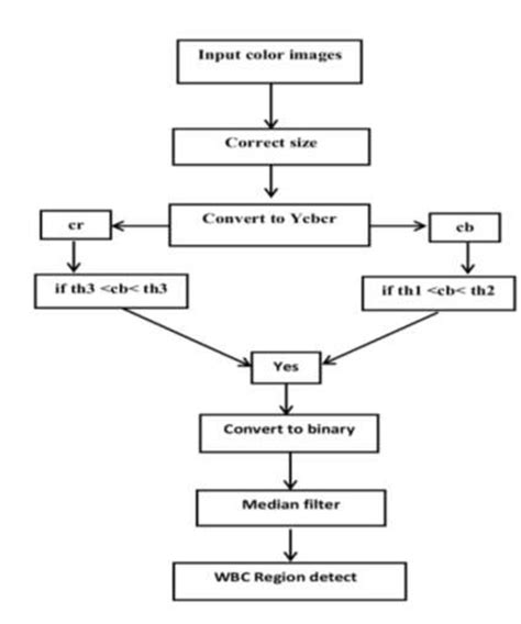 block diagram of wbcs detection algorithm download scientific diagram