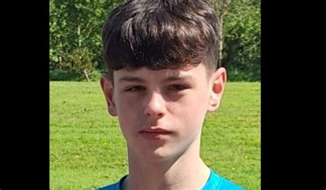 Alert Gardai Appeal For Public For Help Finding Young Teenager Missing