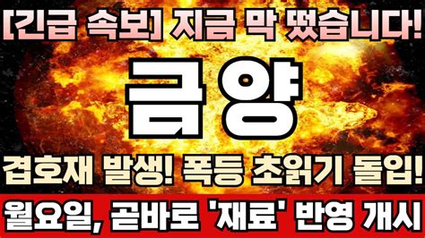 금양 주가전망 ‘유상증자 풀악셀 밟았다 류회장 1천만주 무상증여 결정 4100억원 사재 출연 회사 명운걸고 3