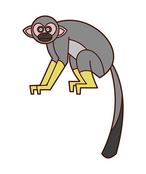 일반적인 다람쥐 원숭이 일러스트레이션 무료 일러스트 소재집 Kukukeke