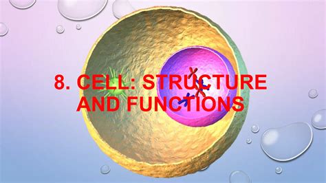 Class 8 Ncert Science Chapter Cell Structure And Functions By Gaurav