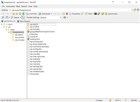 Winscp Powerful Remote File Transfer Application Manjaro Dot Site